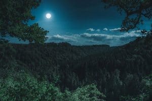 34 Night Hike Activities For Your Next Nocturnal Outing - Outdoor Motives